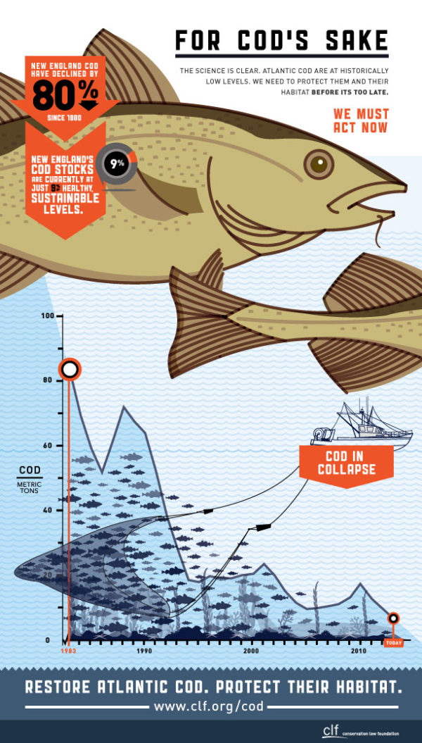 Infographic: For Cod’s Sake | Ben Carmichael